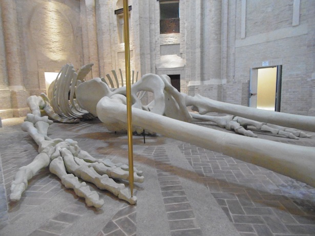 La Calamita Cosmica | THEBINUTREK ... scopri il cuore dell'Italia