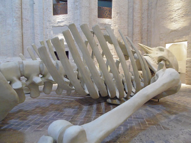 La Calamita Cosmica | THEBINUTREK ... scopri il cuore dell'Italia