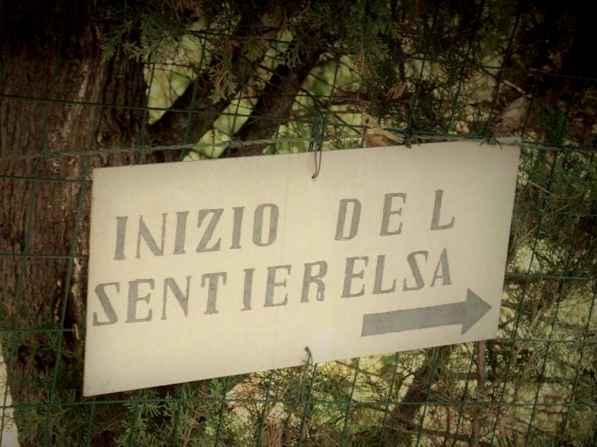 Il Sentierelsa: passeggiando lungo il fiume Elsa Viva | THEBINUTREK ...