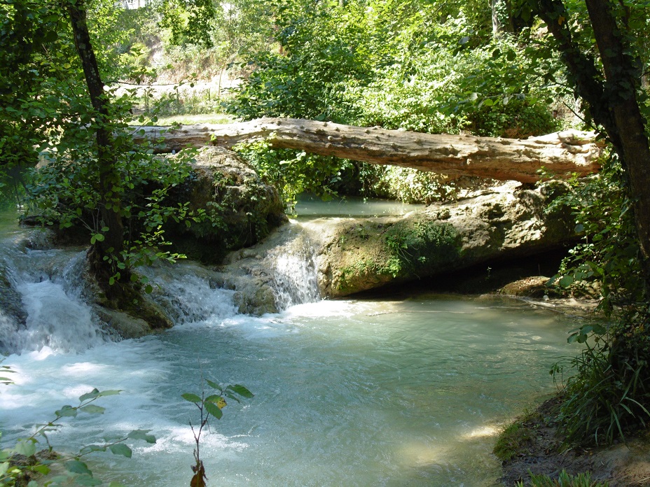 Il Sentierelsa: passeggiando lungo il fiume Elsa Viva | THEBINUTREK ...