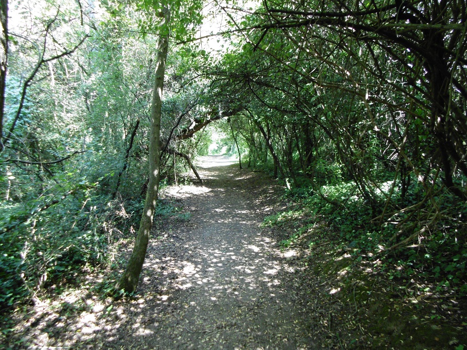 Il Sentierelsa: passeggiando lungo il fiume Elsa Viva | THEBINUTREK ...